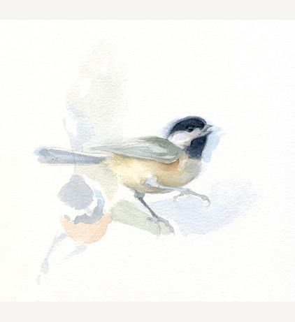 Catherine Hamilton’s birdspot – simplepretty